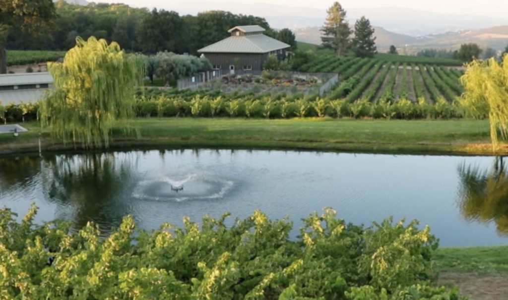 What Makes Higher Elevation Wines Better? - Boatique Winery | High ...